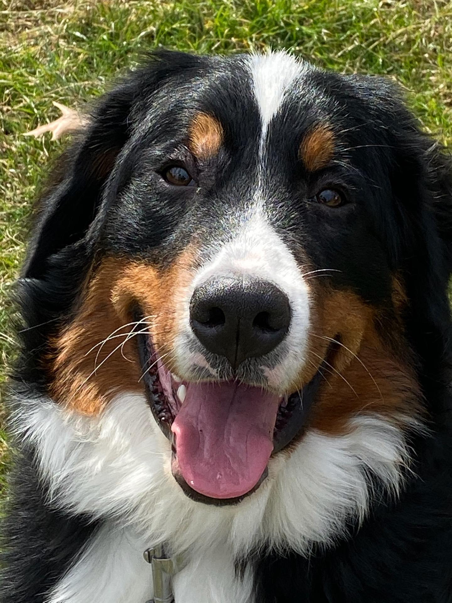 The Perfect Red Pump – Designing Mimi