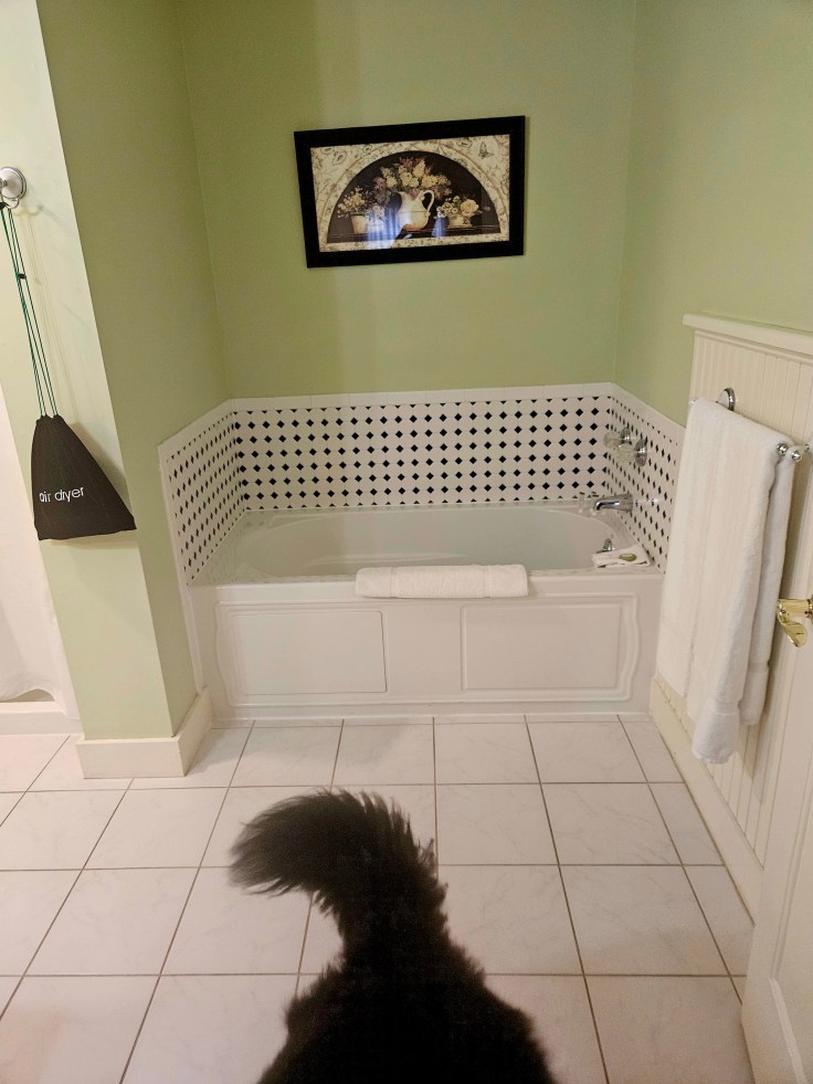 Critiquing Inns on a Budget – Designing Mimi