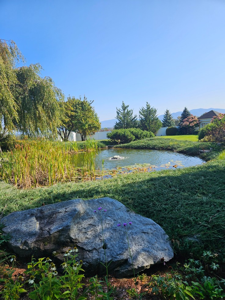 Designing Mimi – Fashion blog for women of all ages