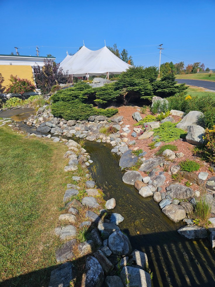 Designing Mimi – Fashion blog for women of all ages