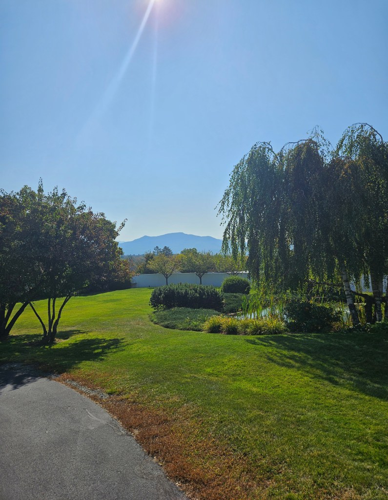 Designing Mimi – Fashion blog for women of all ages