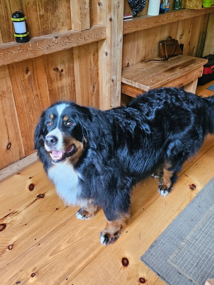 Designing Mimi – Fashion and travel blog for women of all ages