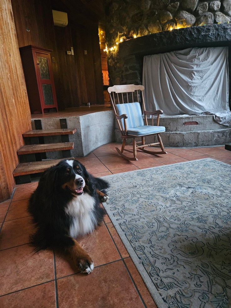 Designing Mimi – Fashion and travel blog for women of all ages